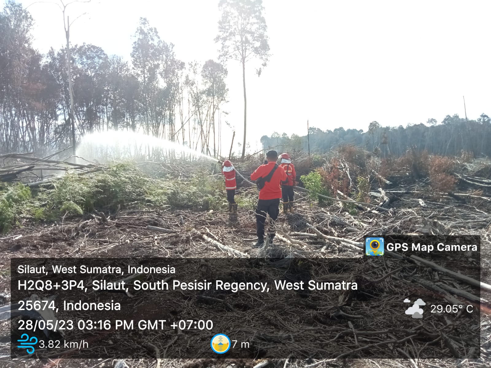 Awas... Seminggu Belakangan 120 Hektare Lahan Hutan Terbakar di Pesisir Selatan